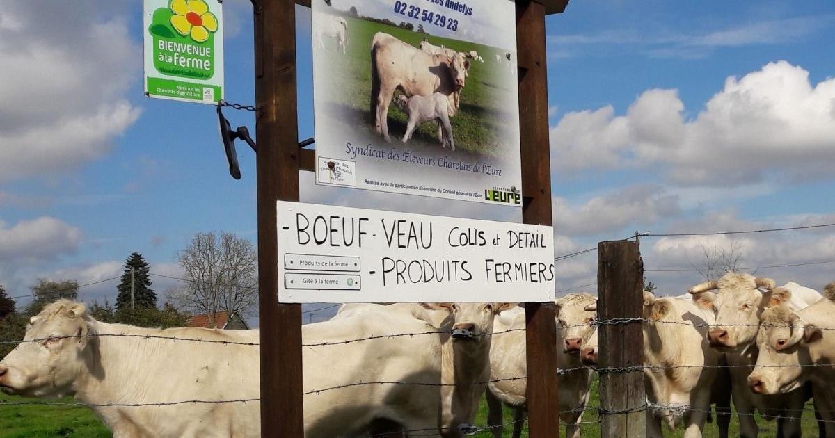 Ferme Durand - LES ANDELYS - Nouvelle Normandie
